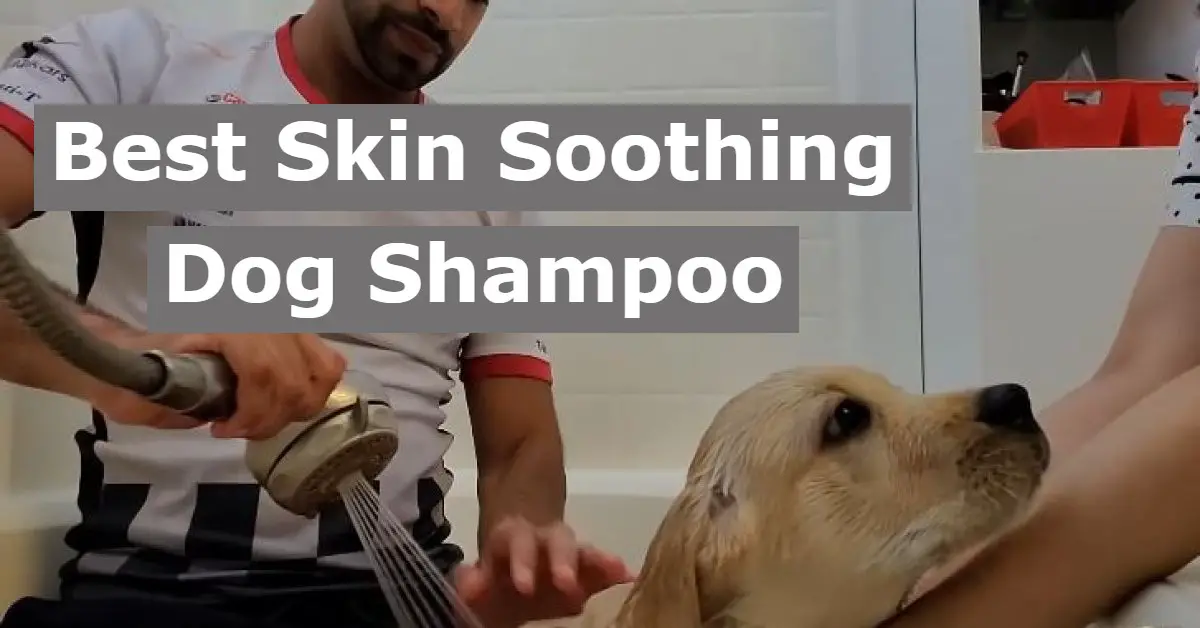 5 Best Skin Soothing Dog Shampoo (Say Goodbye To Itchy Skin)