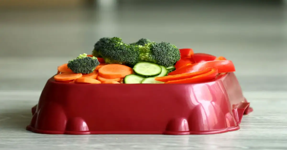 5 Best Dog Food For Cavapoo (UK Vet Reviewed)