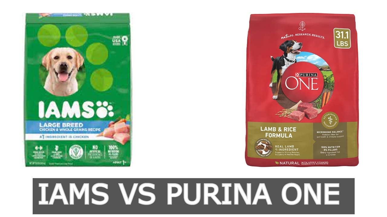 Iams Vs Purina ONE Dog Food: Which One Is Better?