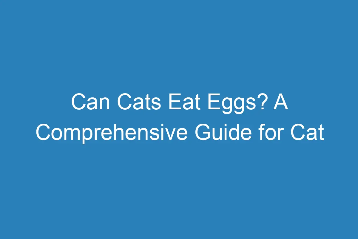 Can Cats Eat Eggs? A Comprehensive Guide For Cat Owners
