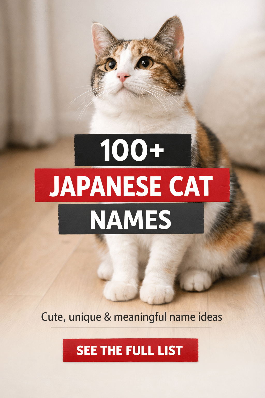 100+ Best Japanese Cat Names