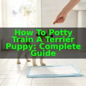 How To Potty Train A Terrier Puppy: Complete Guide